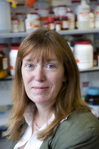 Sarah Gilbert - The wonder woman behind the COVID 19 vaccine – Lifology ...